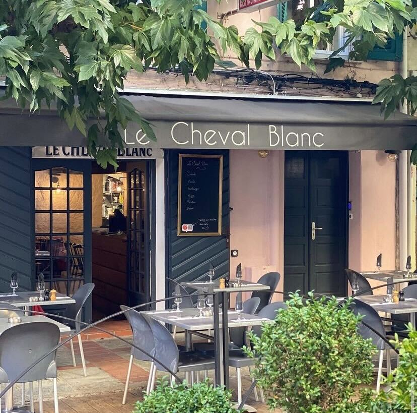 Le petit cheval blanc